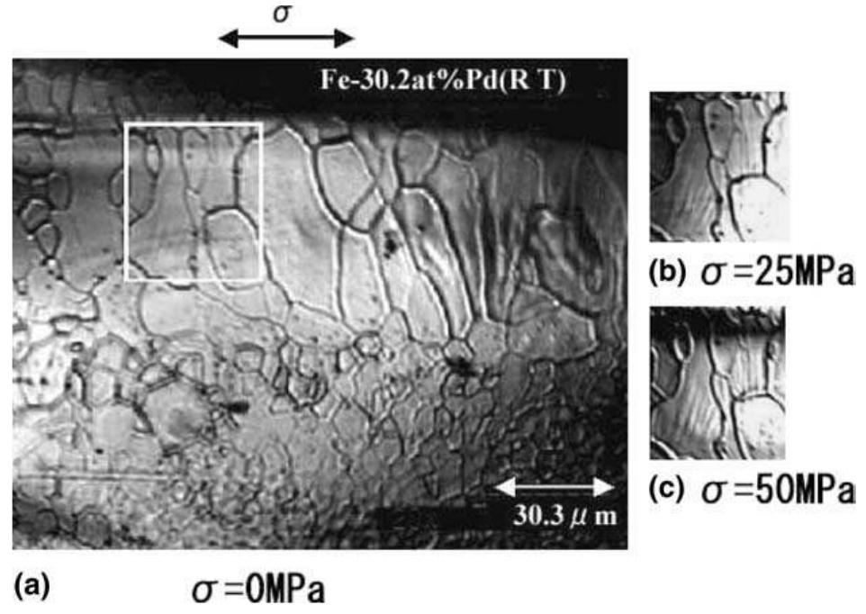 Laser microscope photographs of the fe—30.2at.%pd_ foil