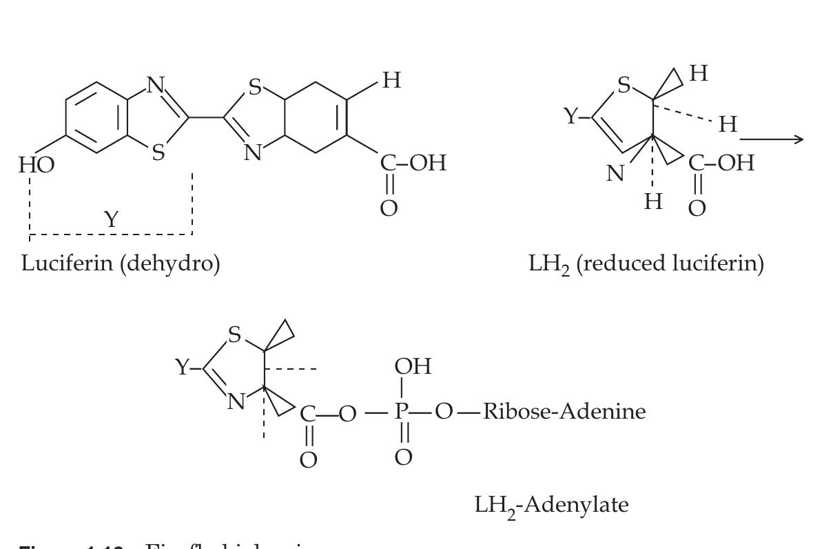 The phenomenon appears to be insignificant but a substantial