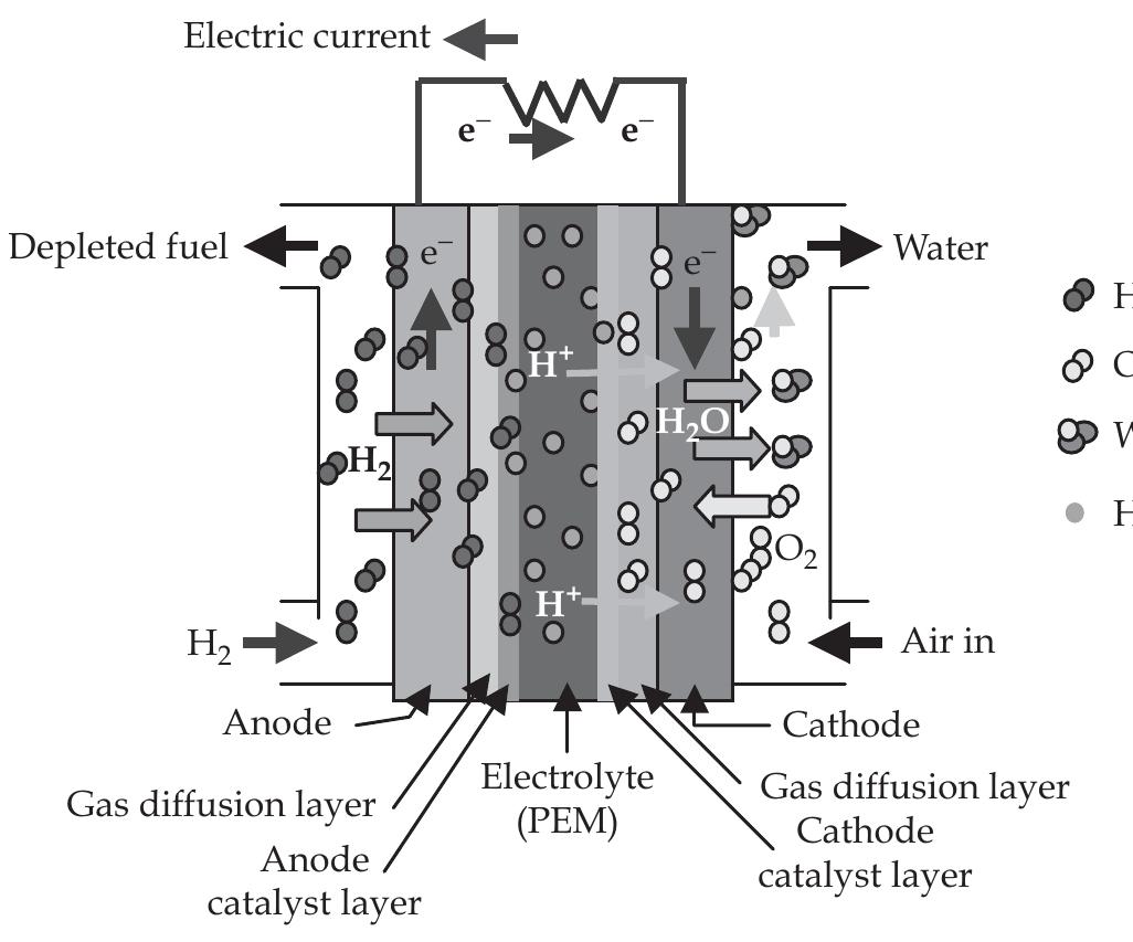 3 polymer electrolyte membrane fuel cell. only the positive