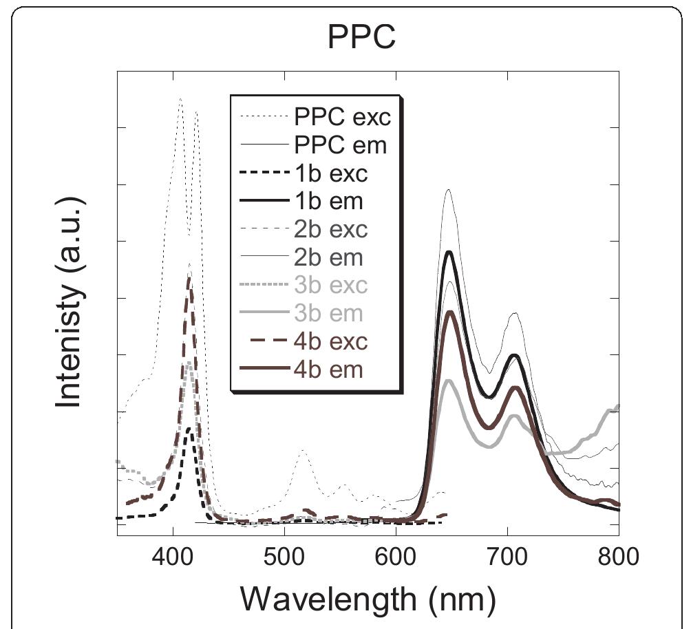 Excitation and emission spectra of aqueous solutions of ppc