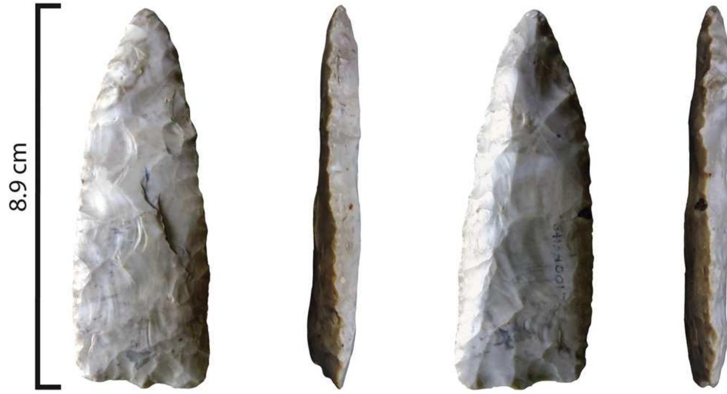 Plan-view (left, third from left) and profile-view (second