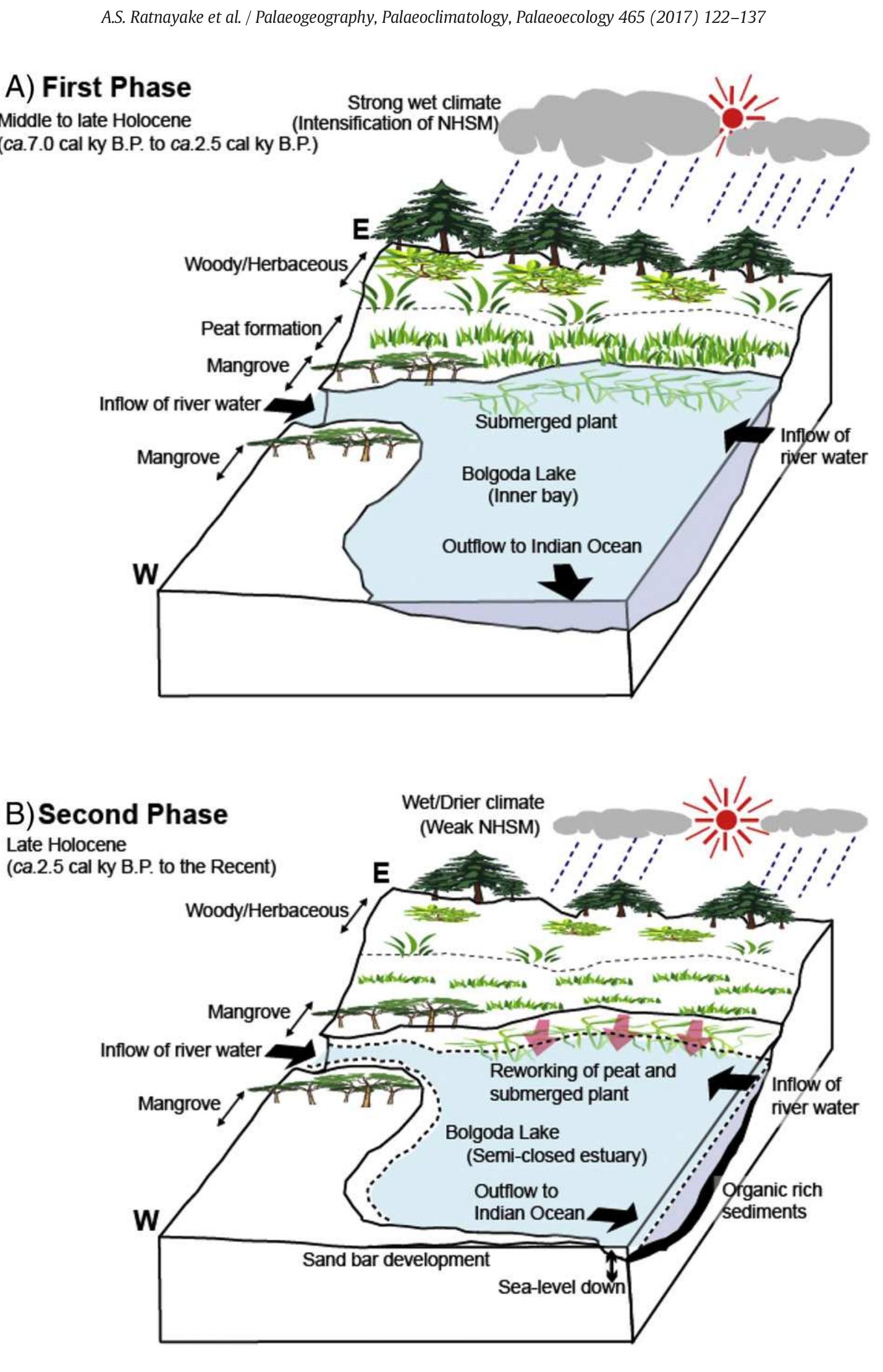 Schematic representation of paleoenvironment and