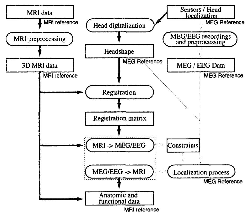 Figure 1 - Registration of MEG/EEG data with 3D MRI: