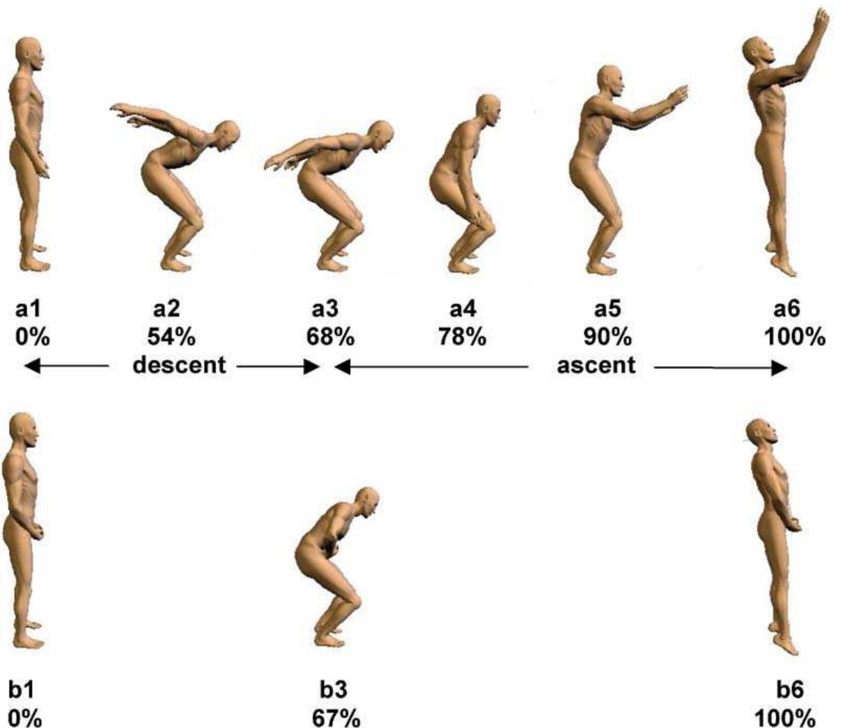 Positions of the body during the arm swing (a) and no-arm