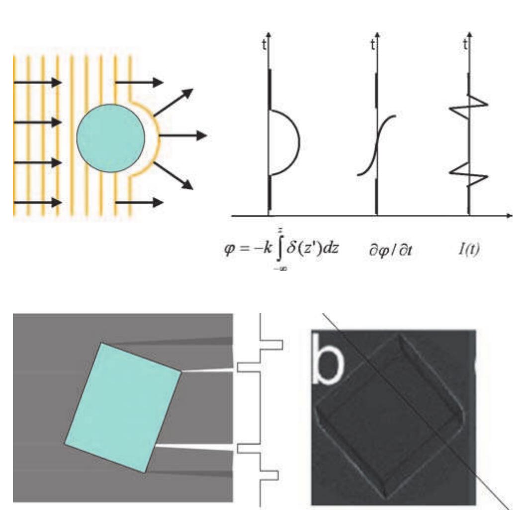 Schematic representation of the formation of phase contrast
