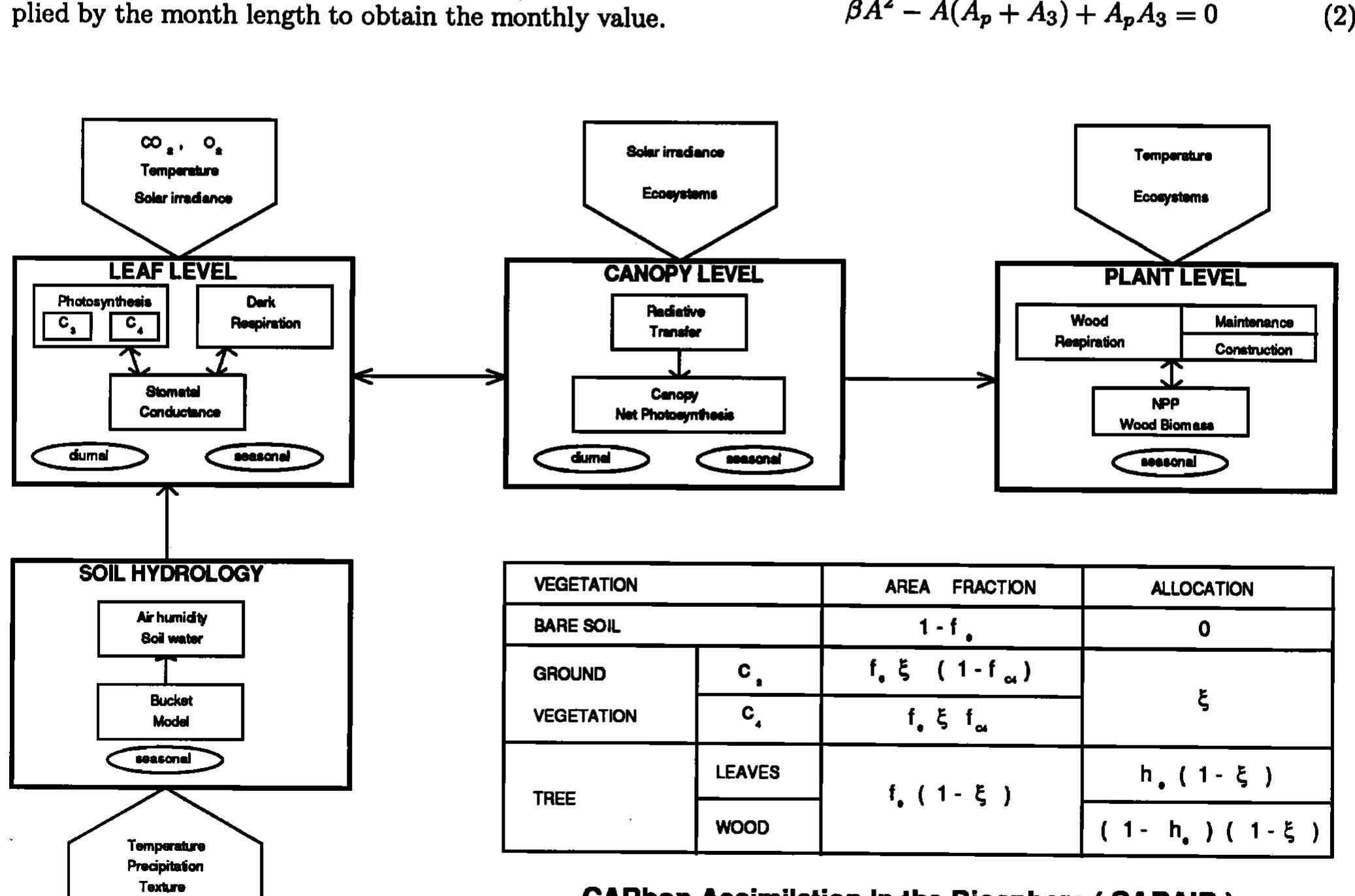 A schematic diagram showing the structure of the carbon