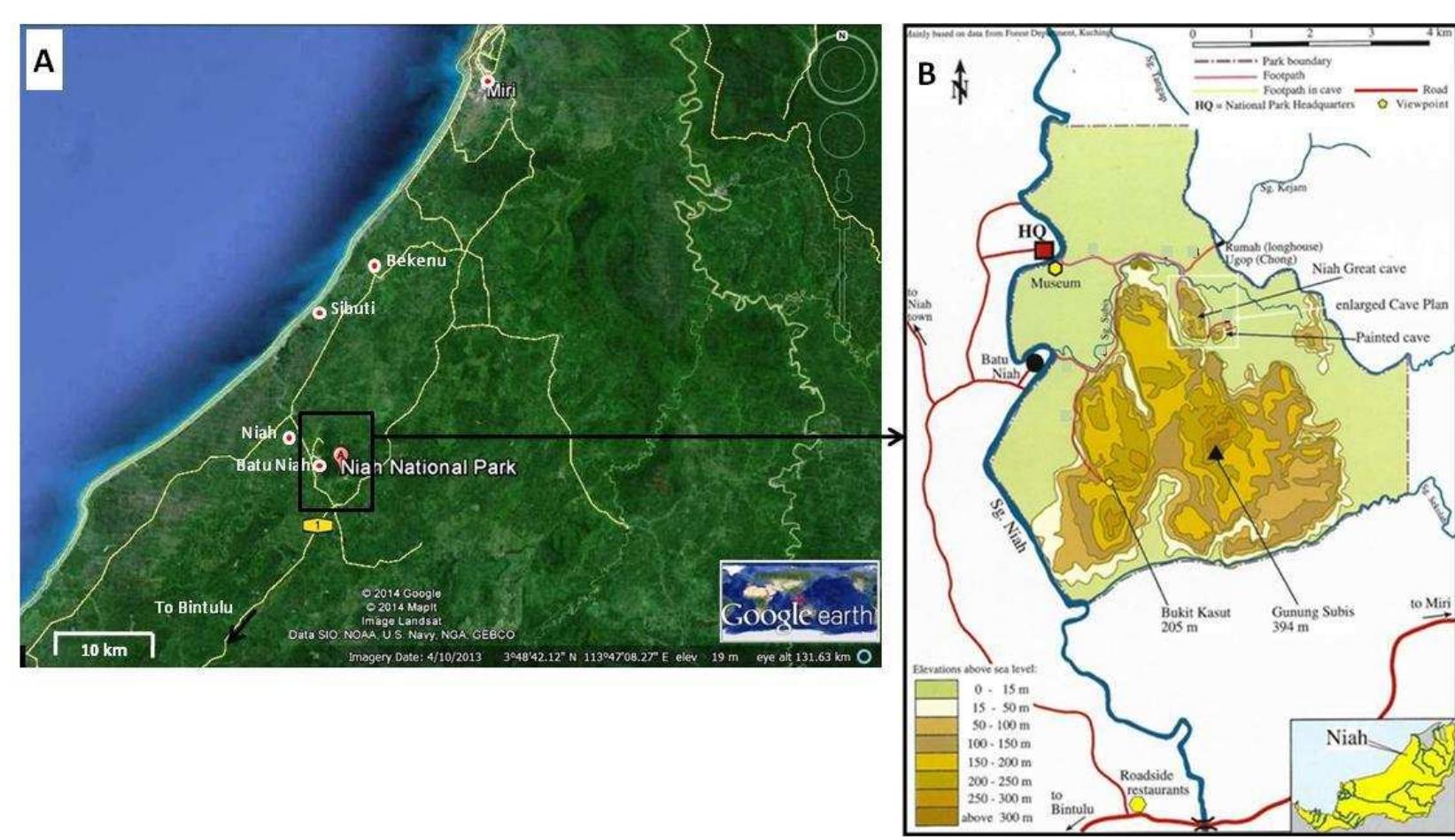 Maps of niah national park: (a) location map (source: google