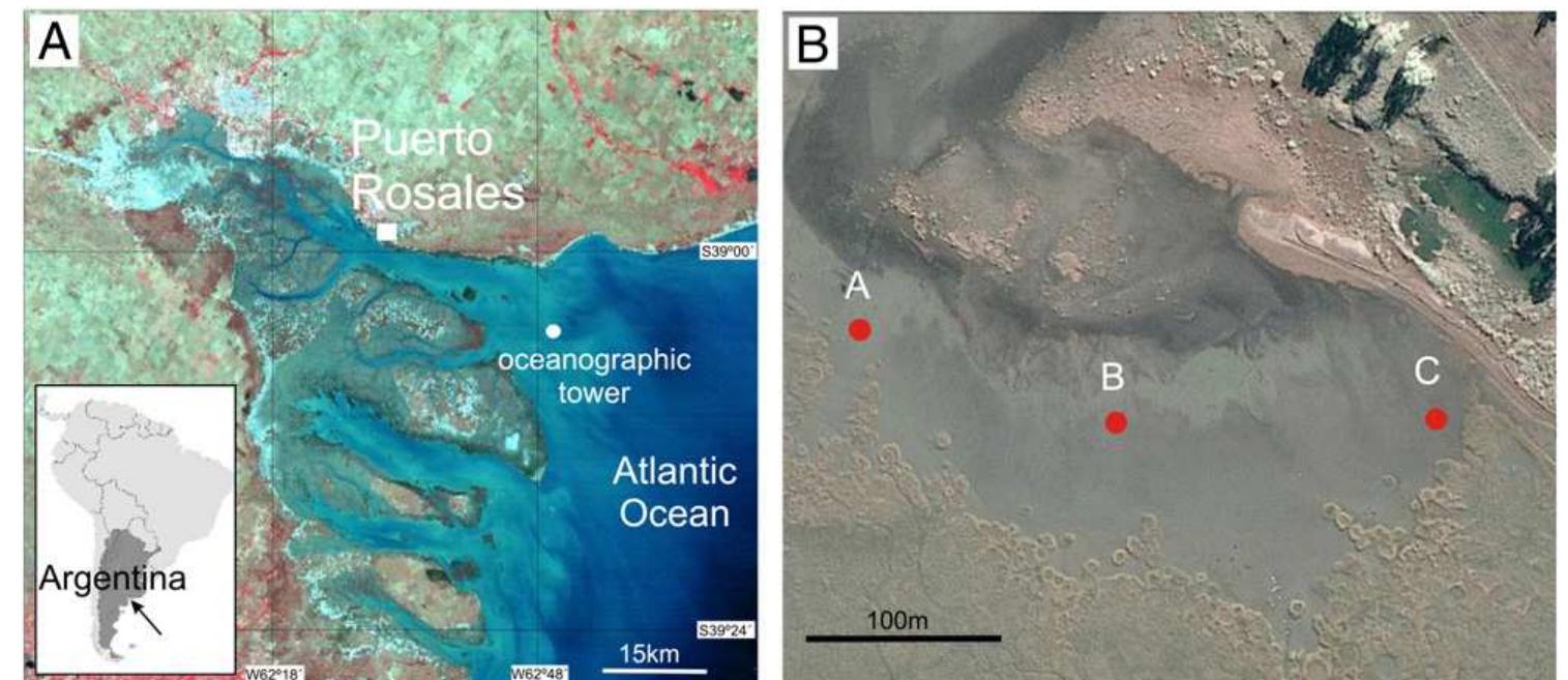 (a) satellite image showing location of the study area. (b)