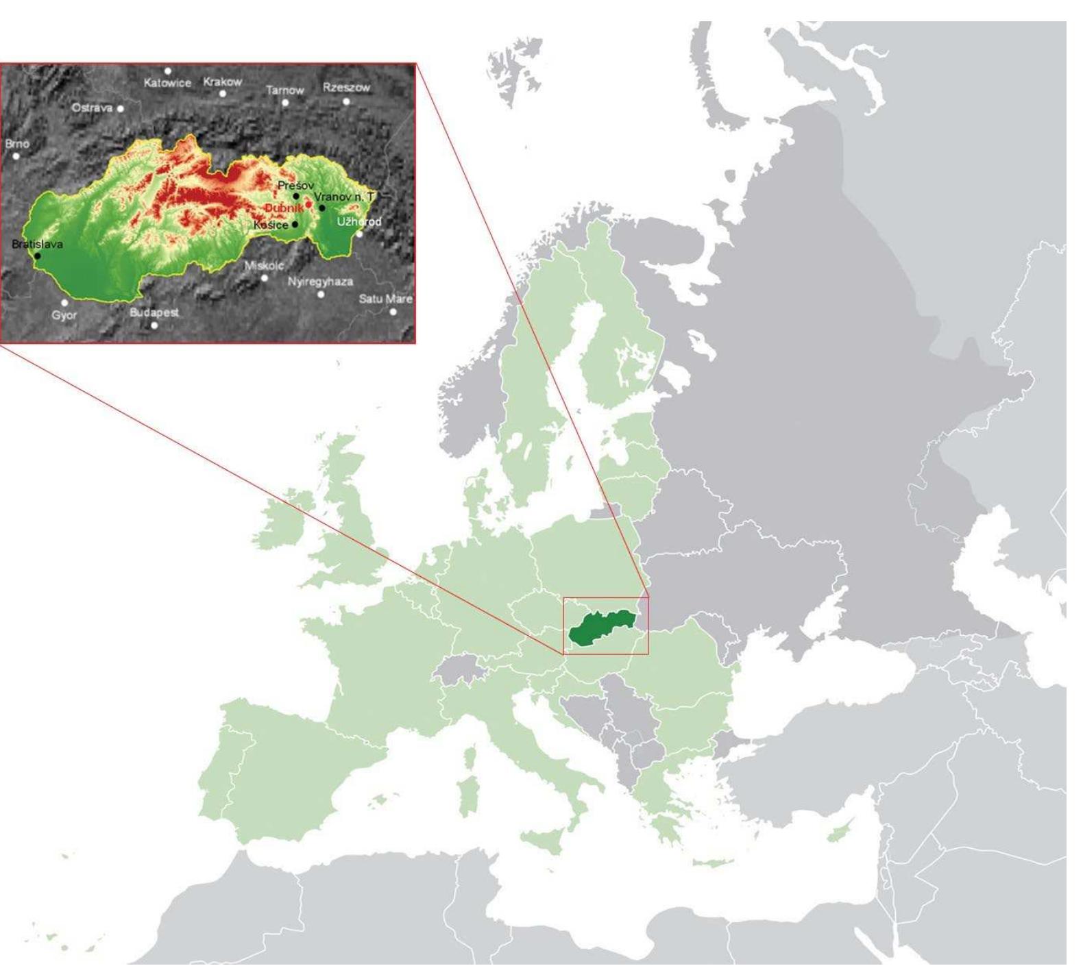 (PDF) European Precious Opal from Červenica-Dubník – an Historical and ...