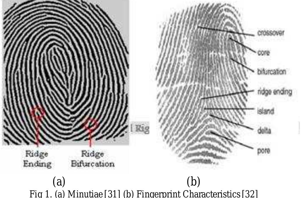 Figure 1 - Study on Fingerprint Based Attendance System