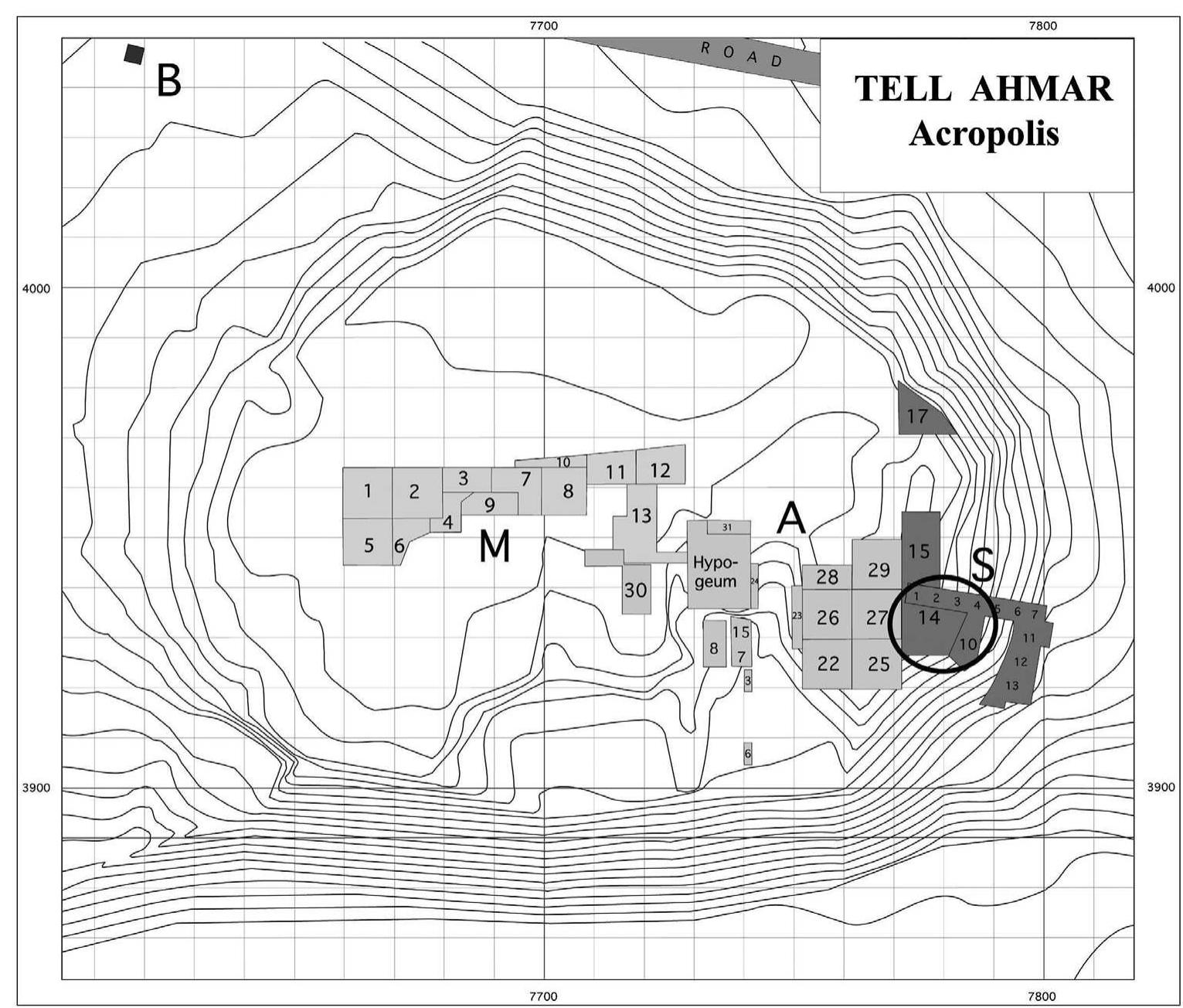 Map of the tell of tell ahmar. the black circle shows the