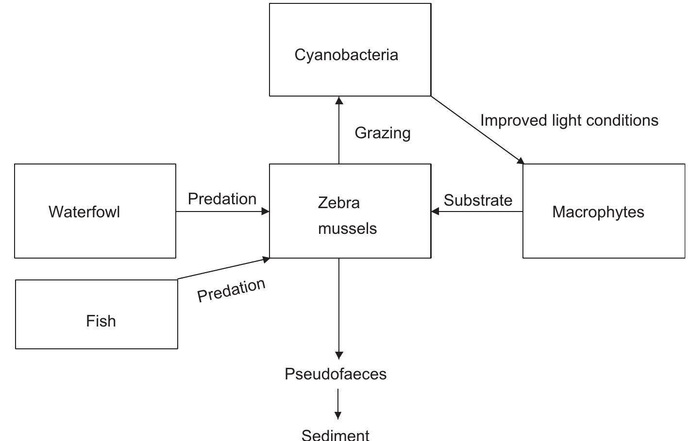 Figure 5 - from Lake restoration studies: Failures,