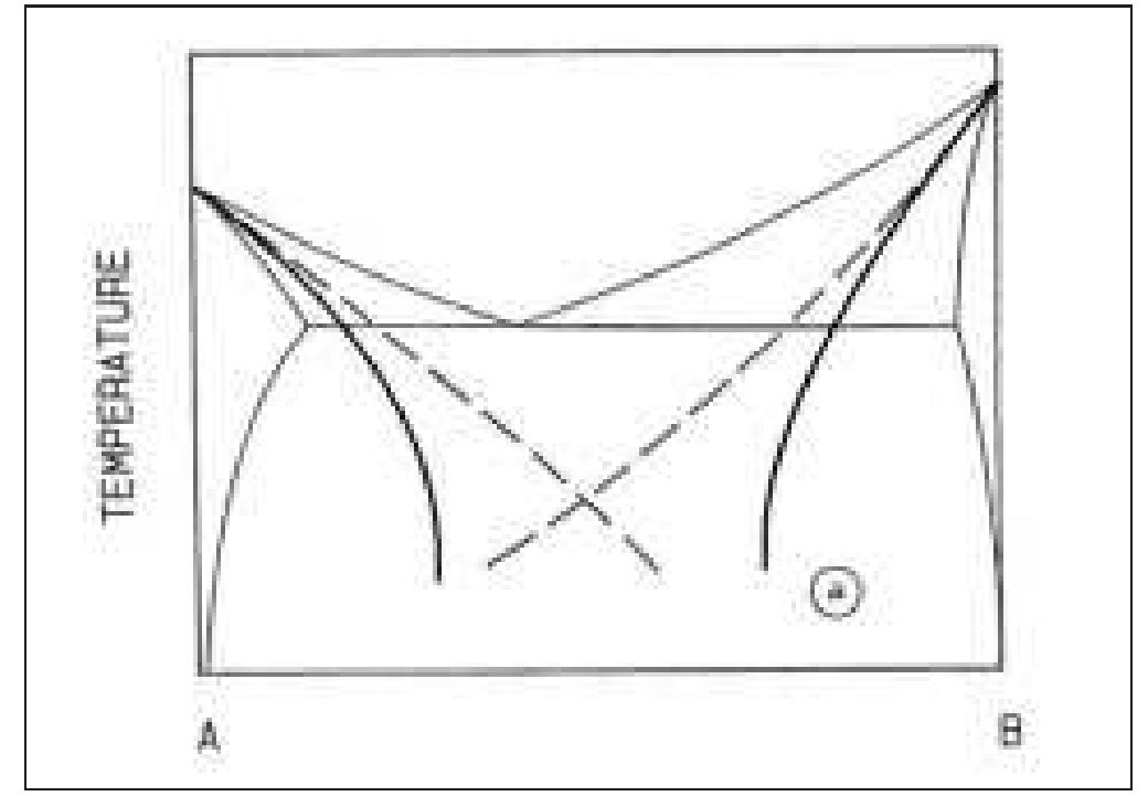 schematic representation of t, curves (dashed lines) for a