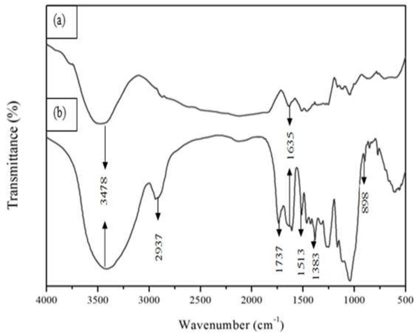 Comparison ftir spectra of (a) untreated and (b) treated