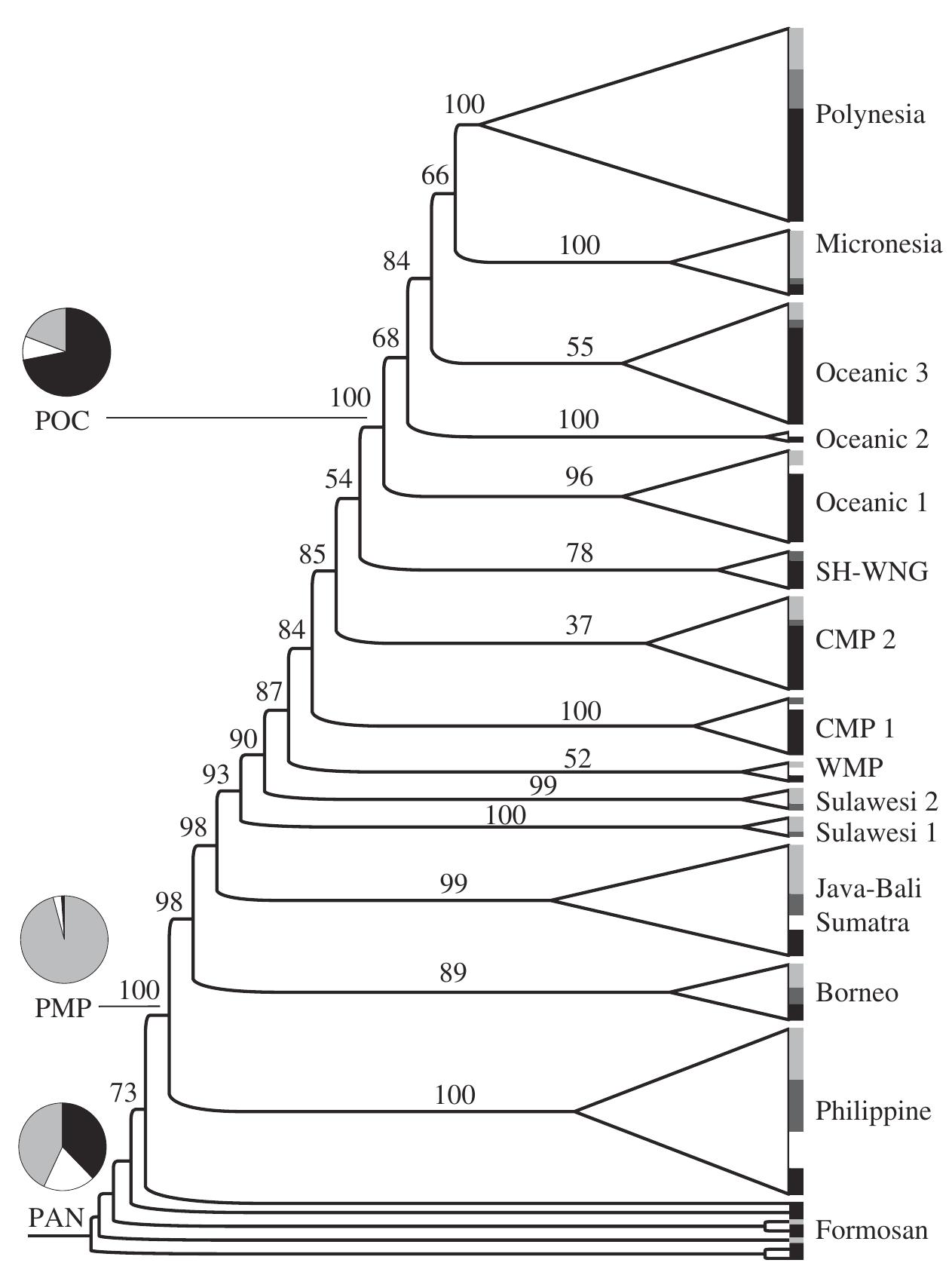 Laura Fortunato | University of Oxford - Academia.edu