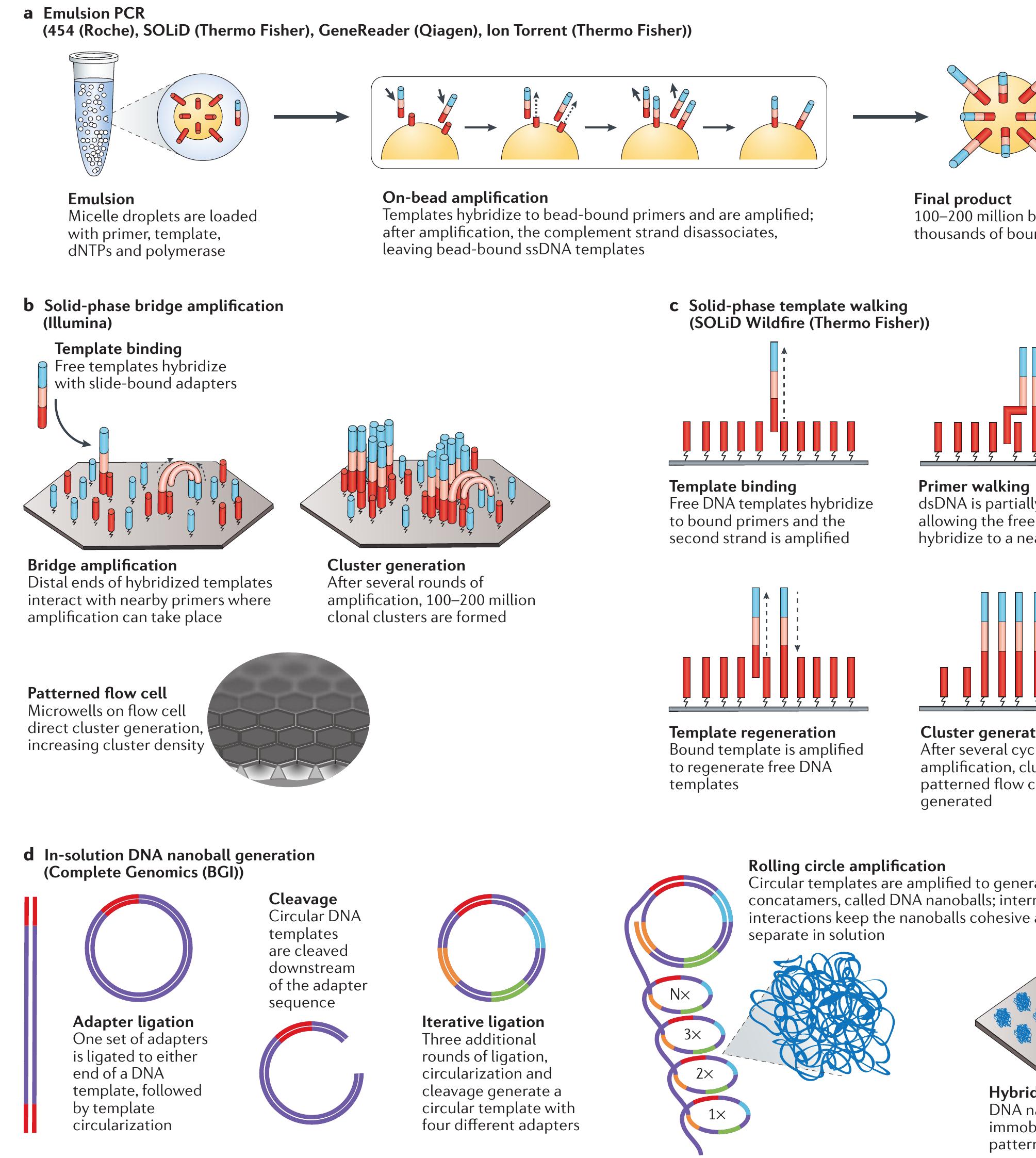 (PDF) Coming of age: ten years of nextgeneration sequencing technologies