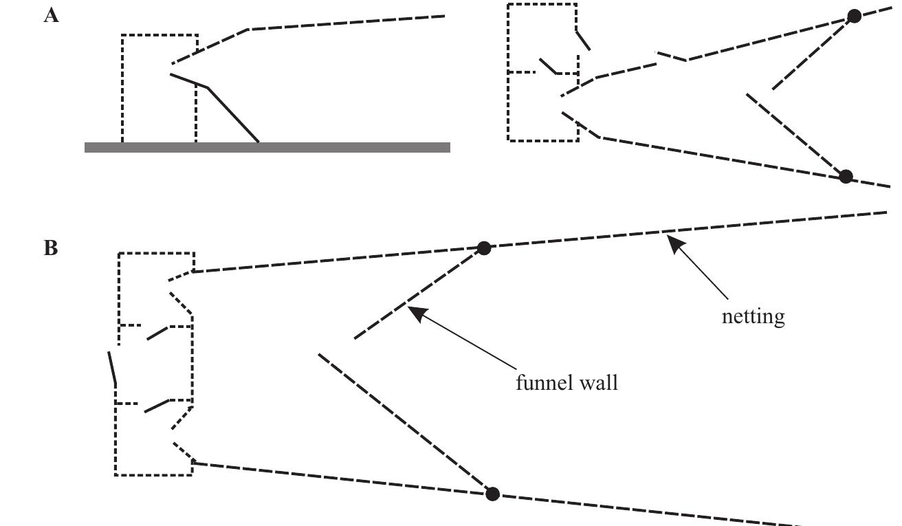 I-7. terminal part of the rybatchy trap. a. one collecting