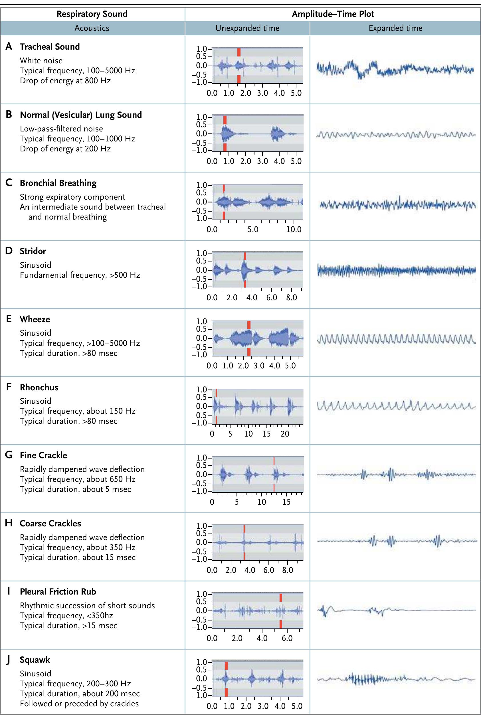 Table 2 - Fundamentals of Lung Auscultation