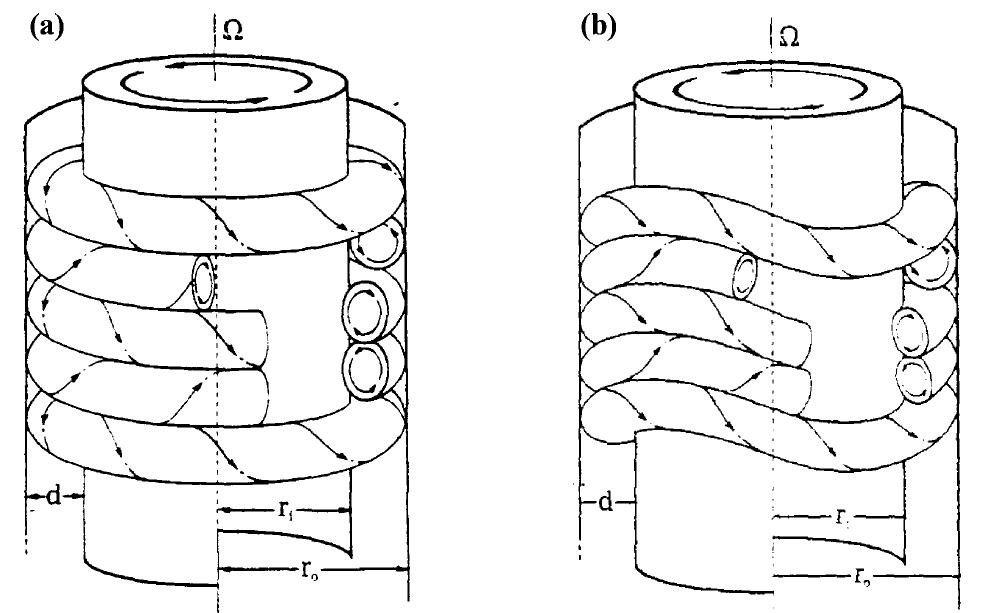 Cross section of concentric cylinders and vortex formation: