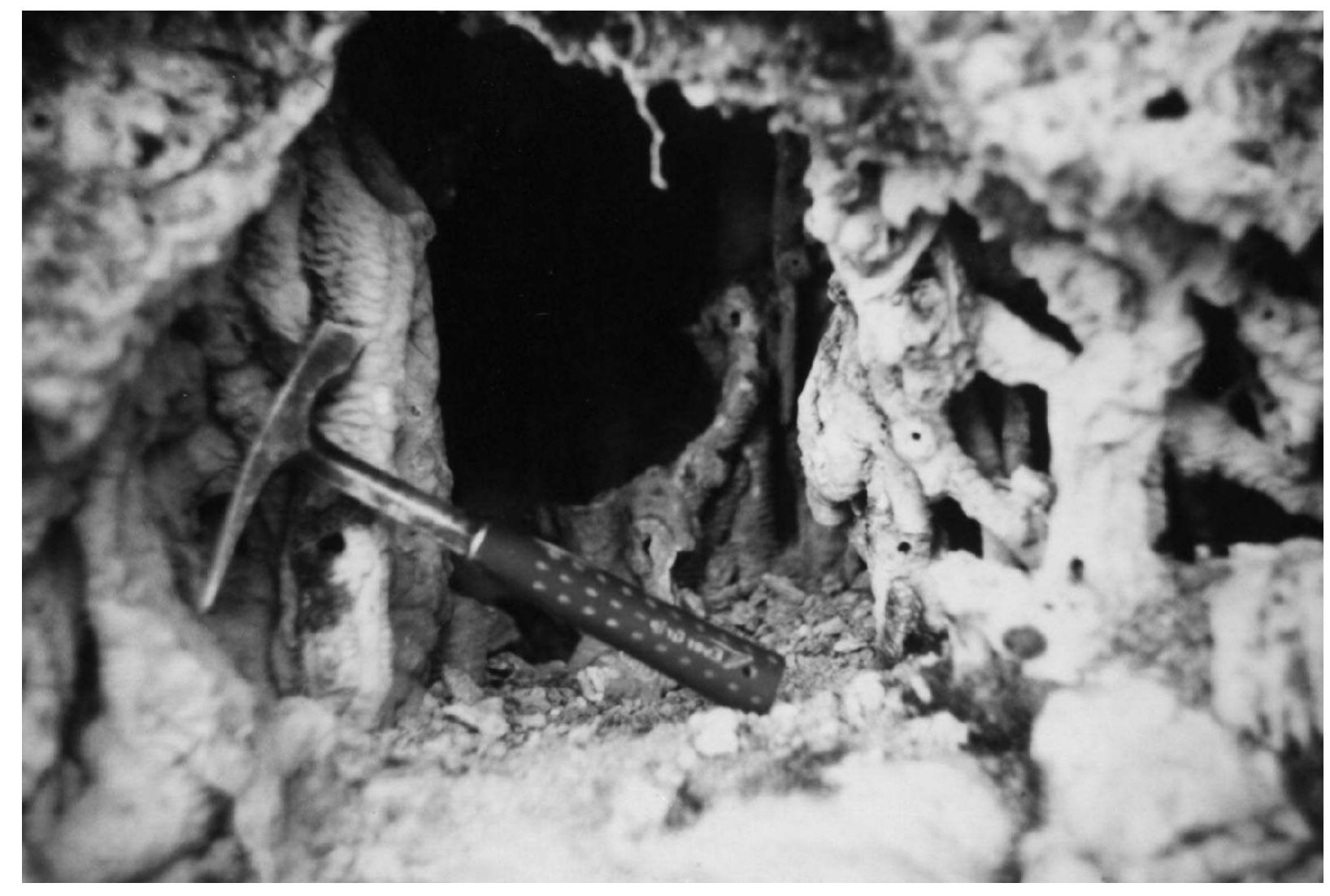 Figure 14 - Stratigraphy, microfacies, and petroleum
