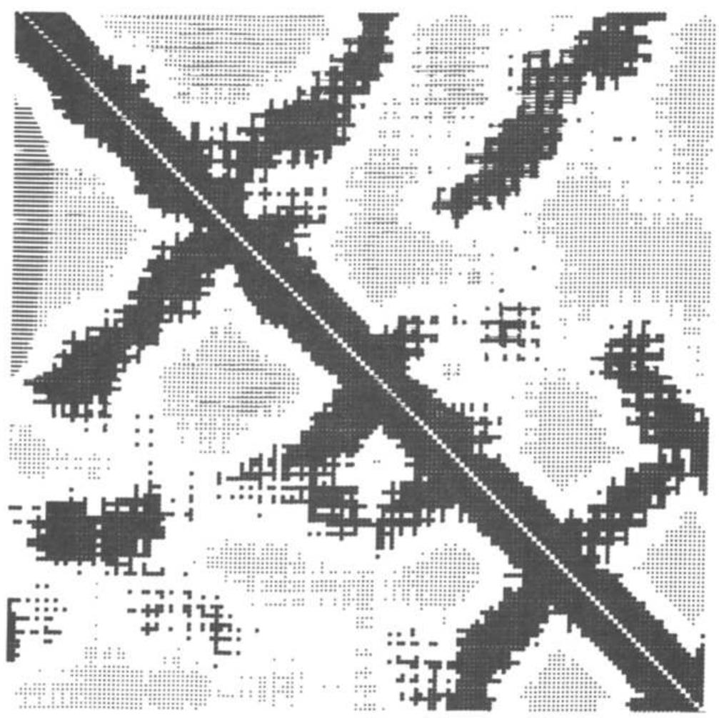 Contact map of the calculated structure for sperm whale myo-