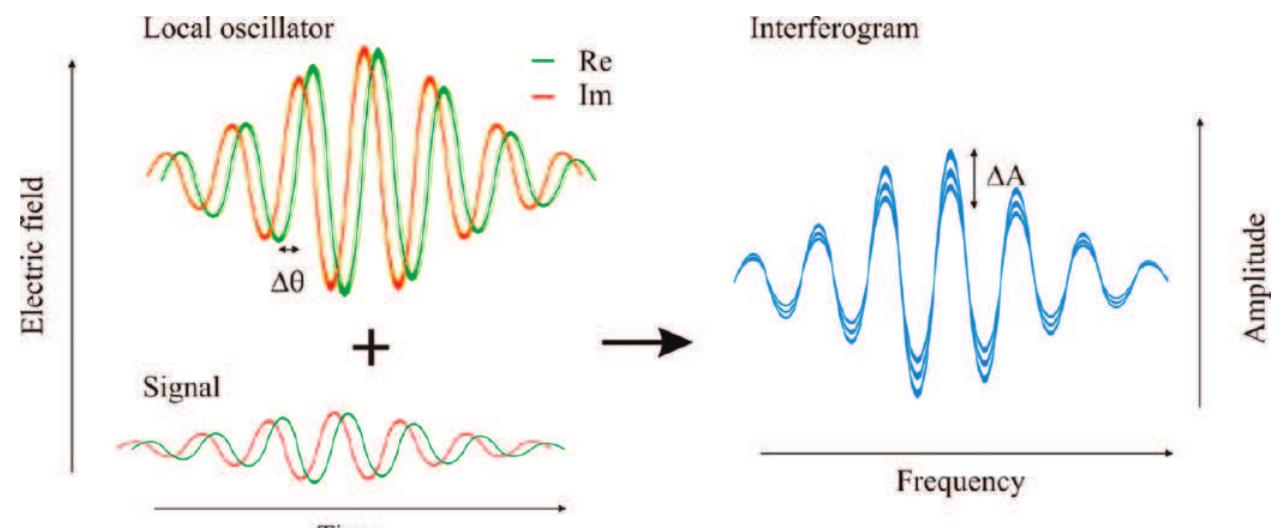 Schematic diagram of optical heterodyne detection and