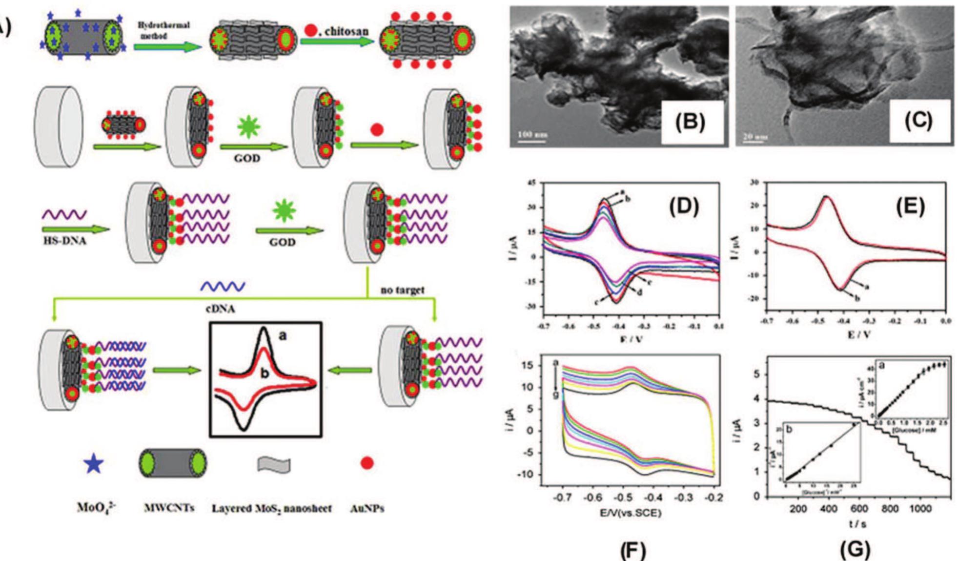 (a) schematic diagram of an electrochemical dna biosensor.