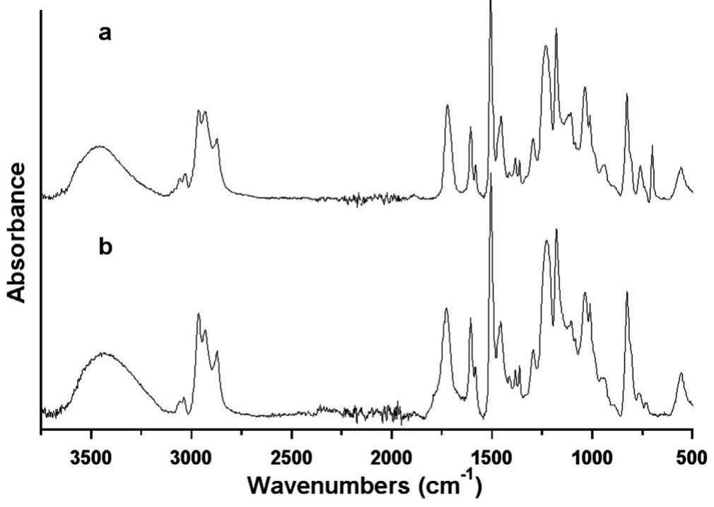 Atr-ftir spectra of a reference film before (a) and after