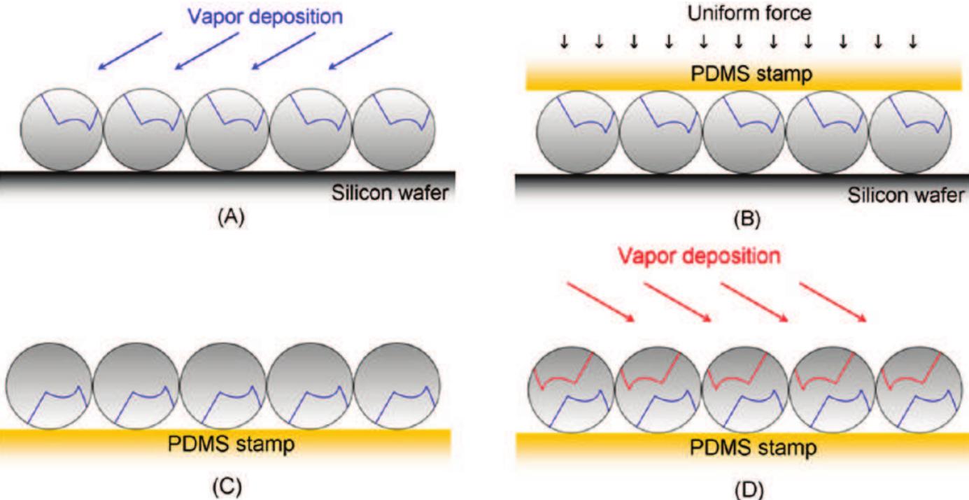 Cross-sectional schematic of the glad and particle stamping