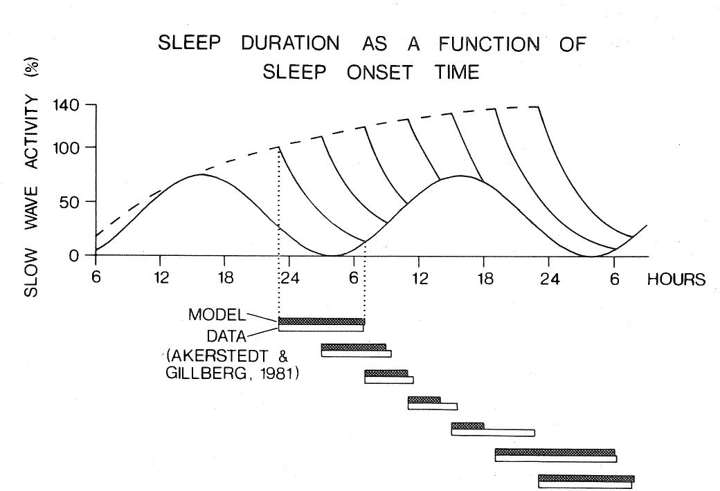 (PDF) A Two Process Model of Sleep Regulation