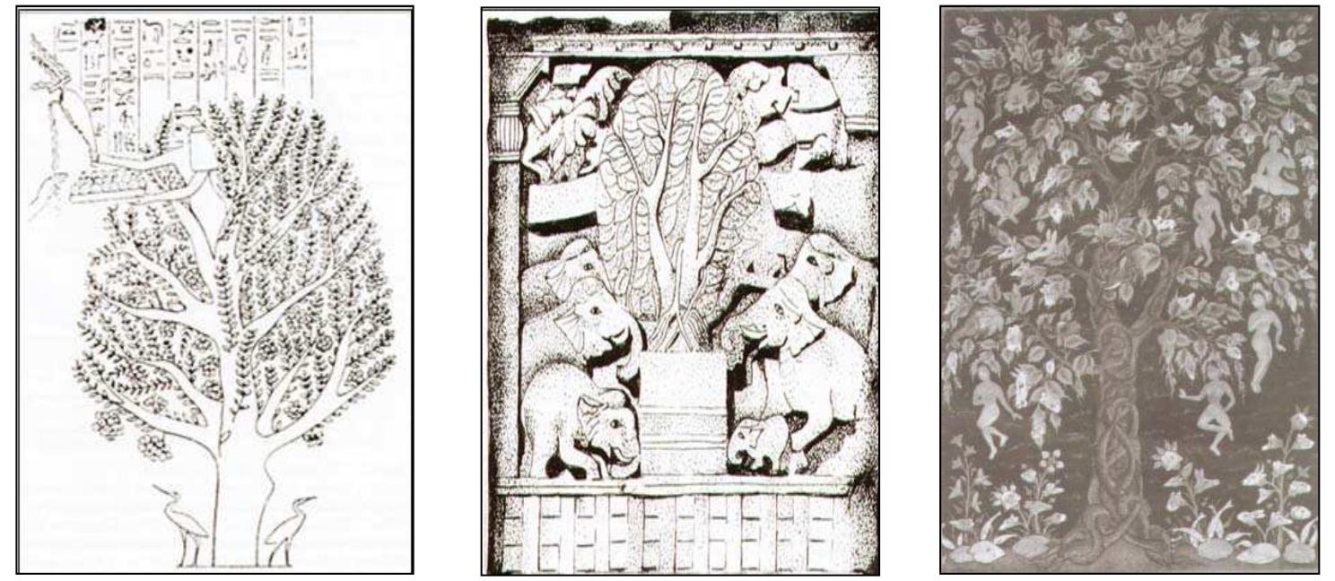 Tree of life examples from ancient egypt and the far east