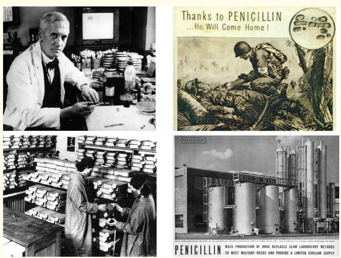 (PDF) Brief History of Staphylococcus Aureus: A Focus to Antibiotic ...