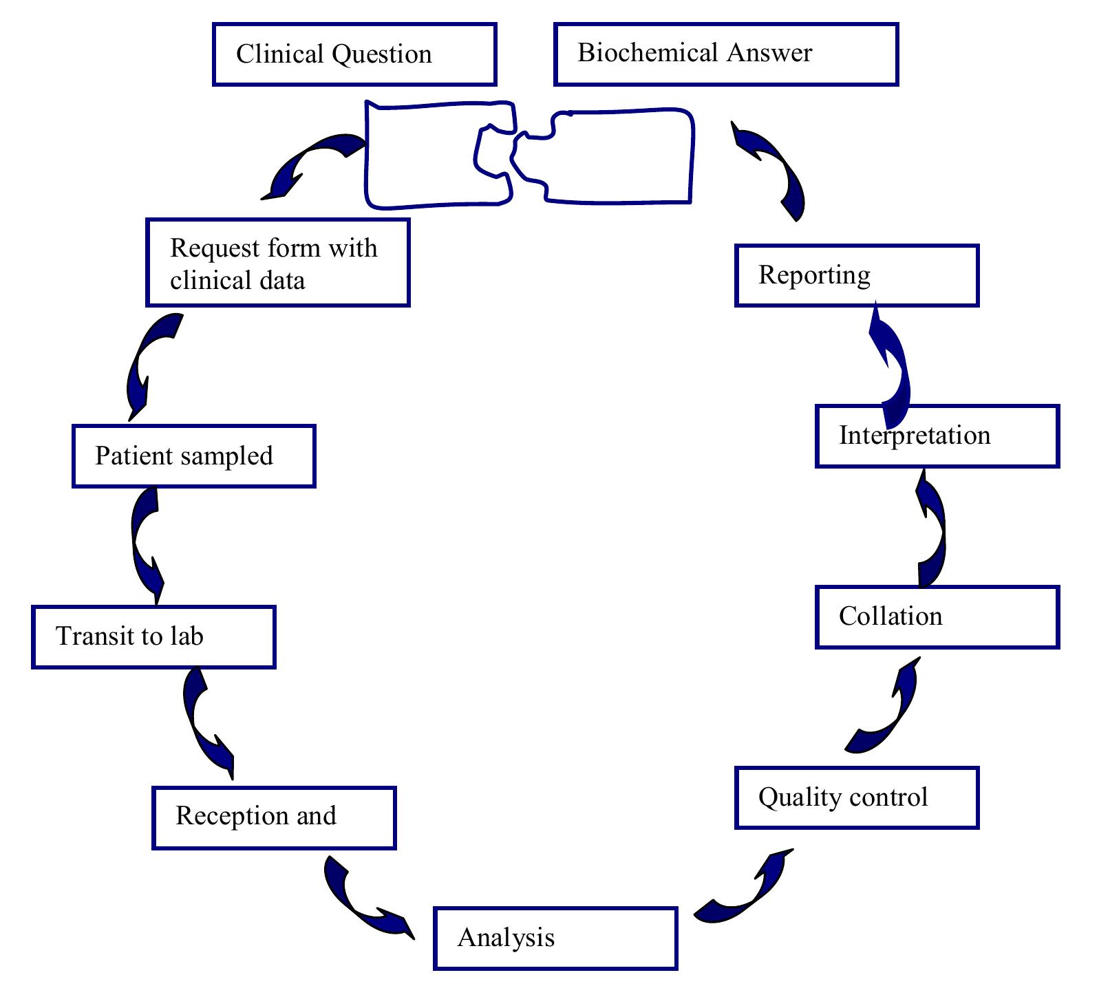 Circuit diagram of clinical biochemistry process.