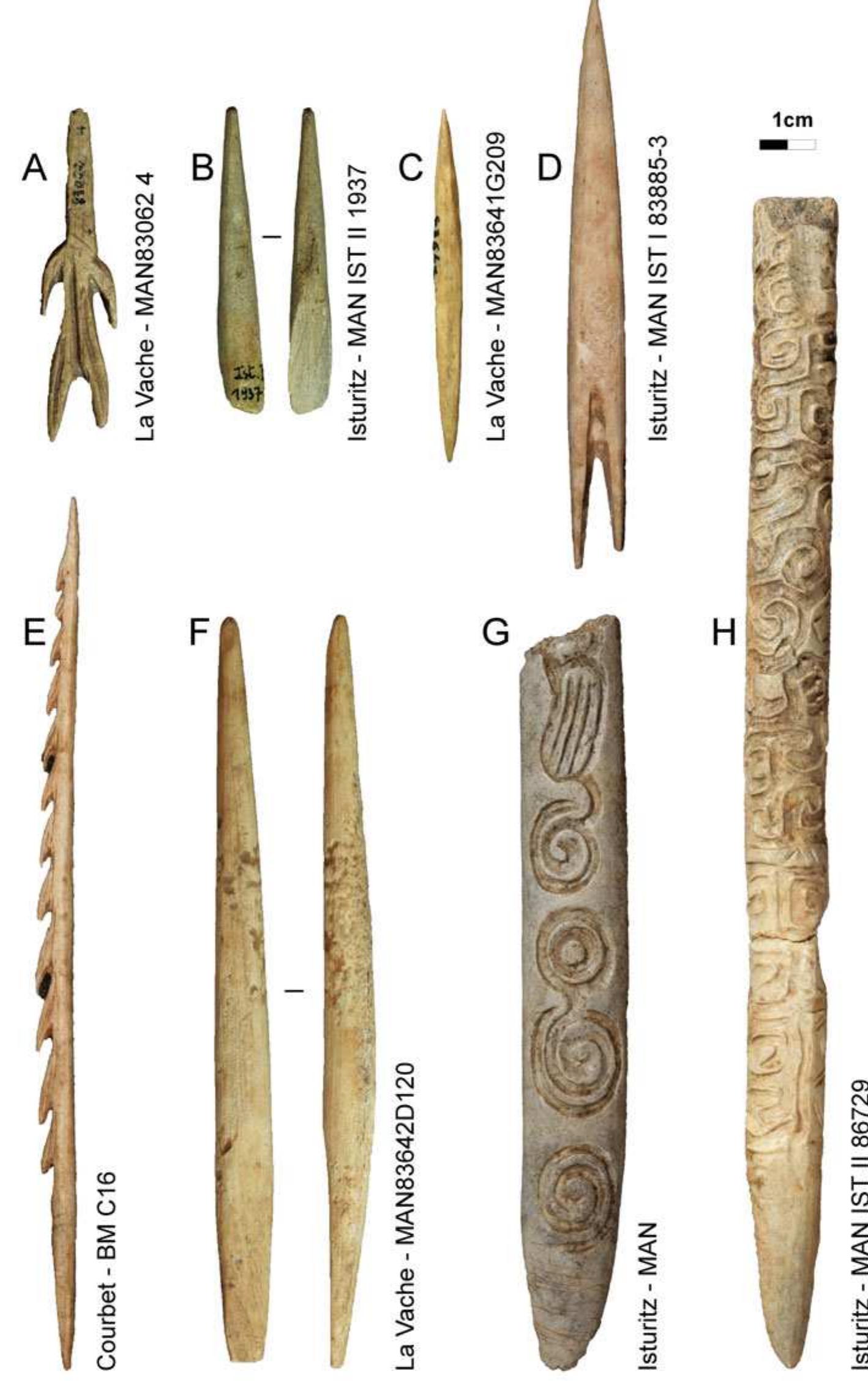 2 examples of magdalenian antler projectile points. (a)