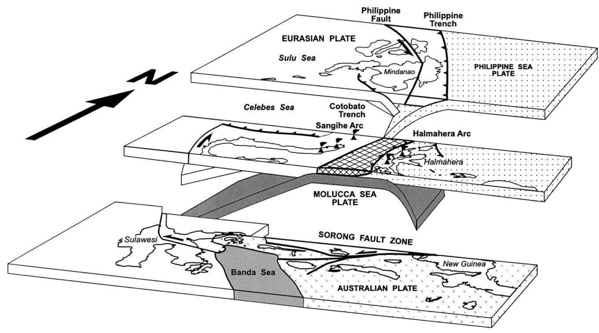 Figure 4 - from Neogene sutures in eastern Indonesia