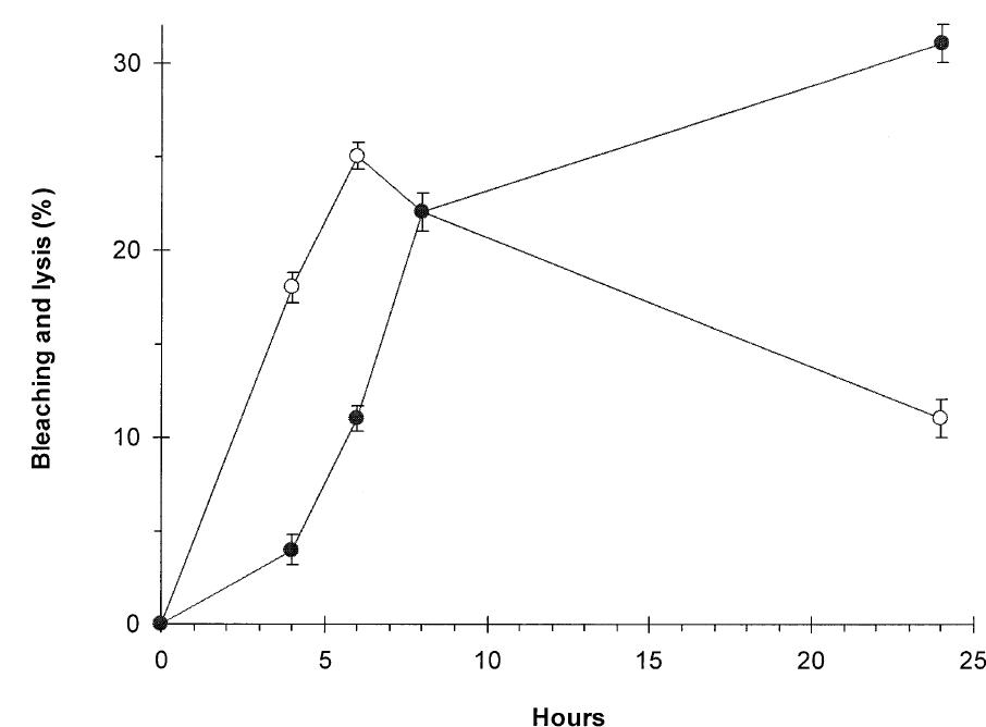 Kinetics of bleaching and lysis of zooxanthellae by ak1-s.