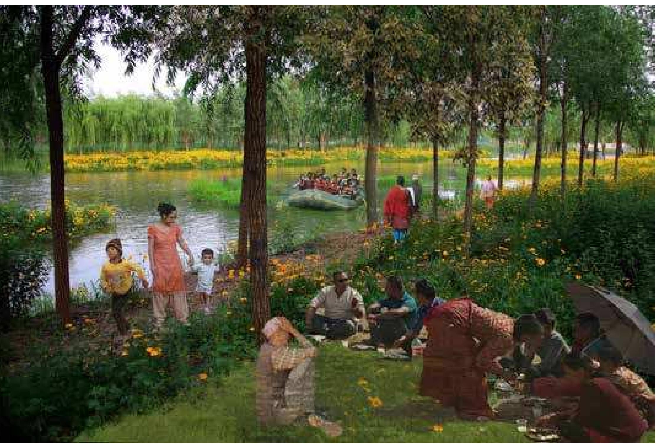 Proposed view of soft paths and public spaces