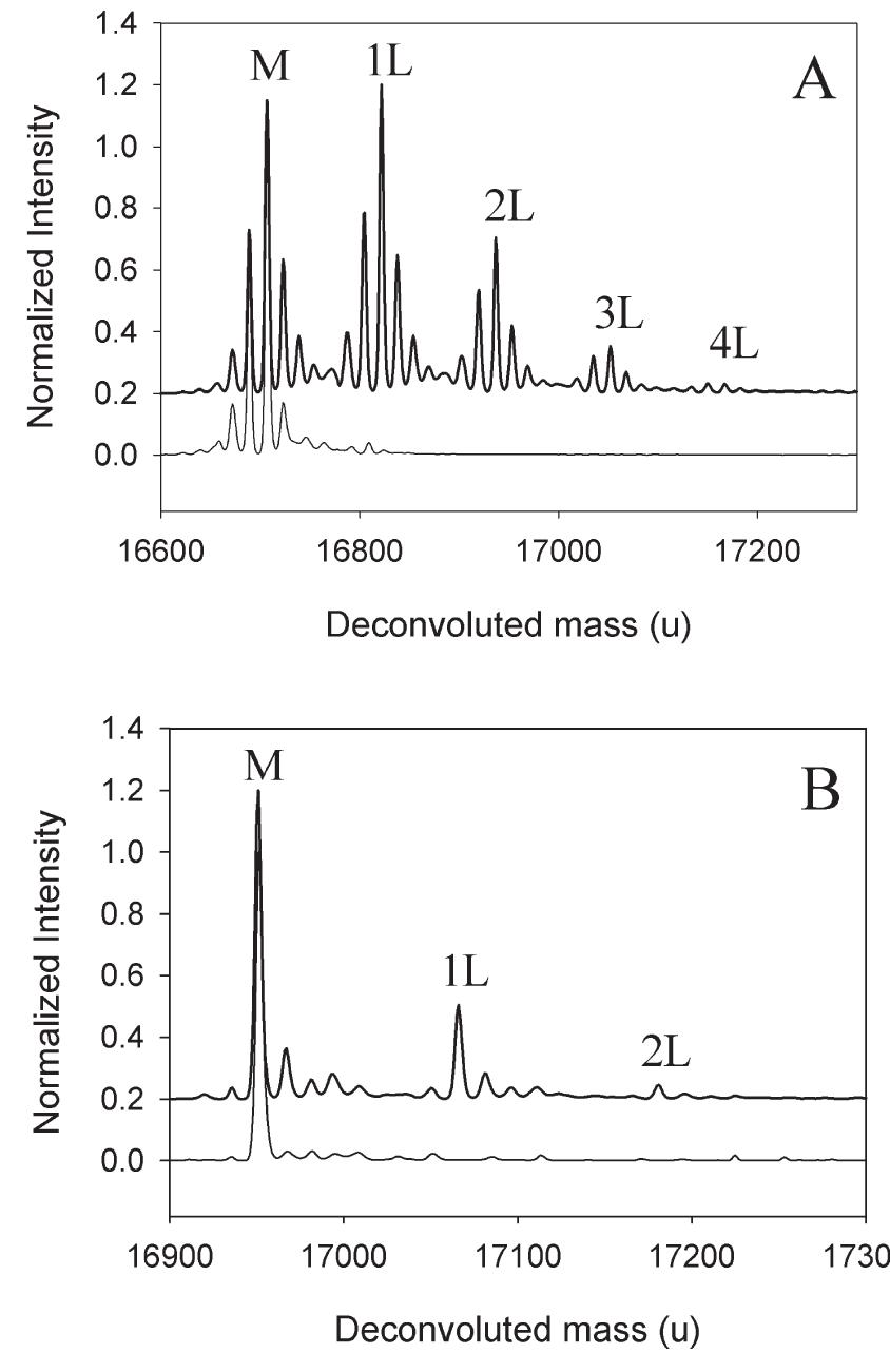 Deconvoluted mass spectra of labeled and unlabeled (a) mb