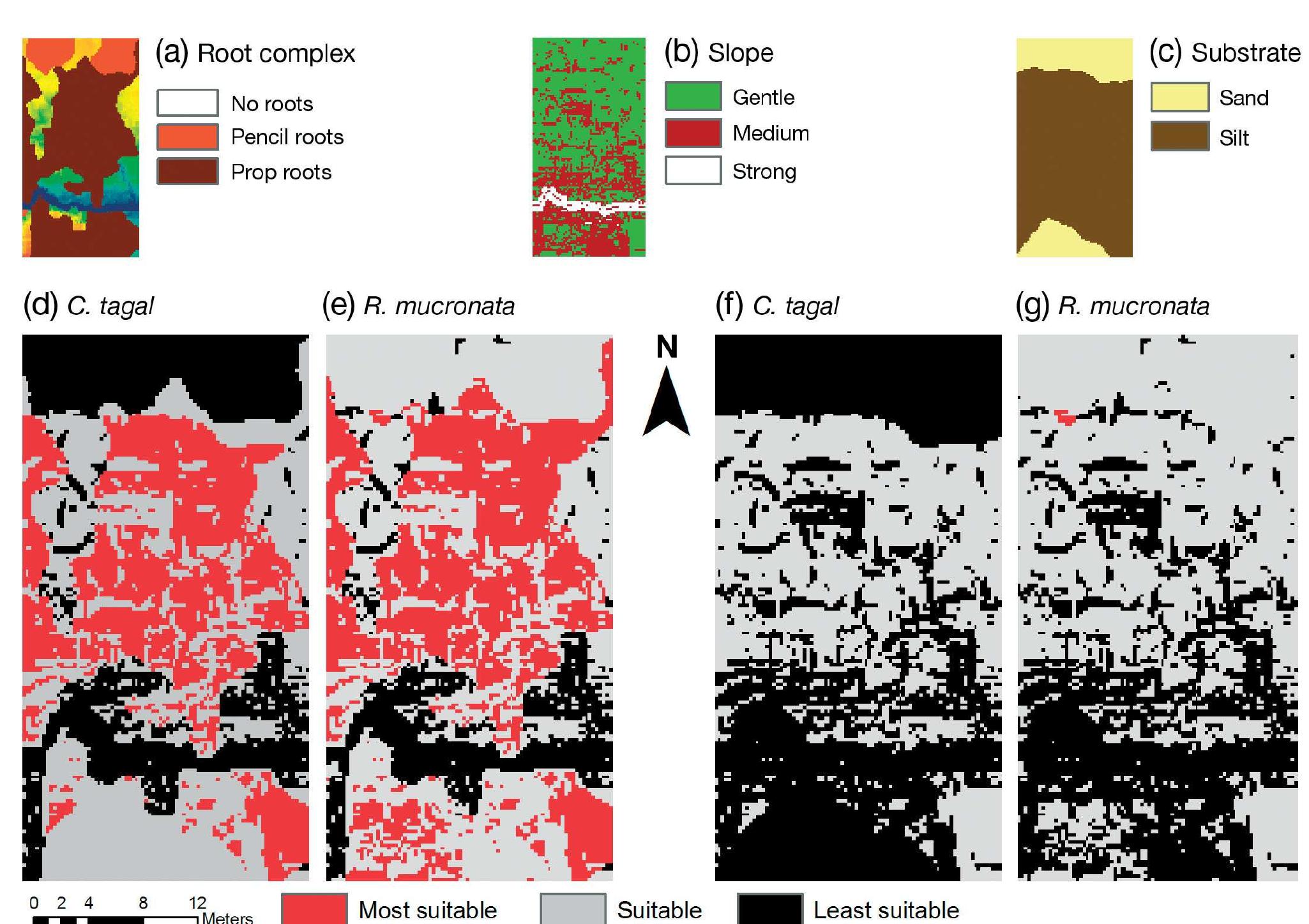Maps of (a) root complex, (b) slope and (c) substrate, here,