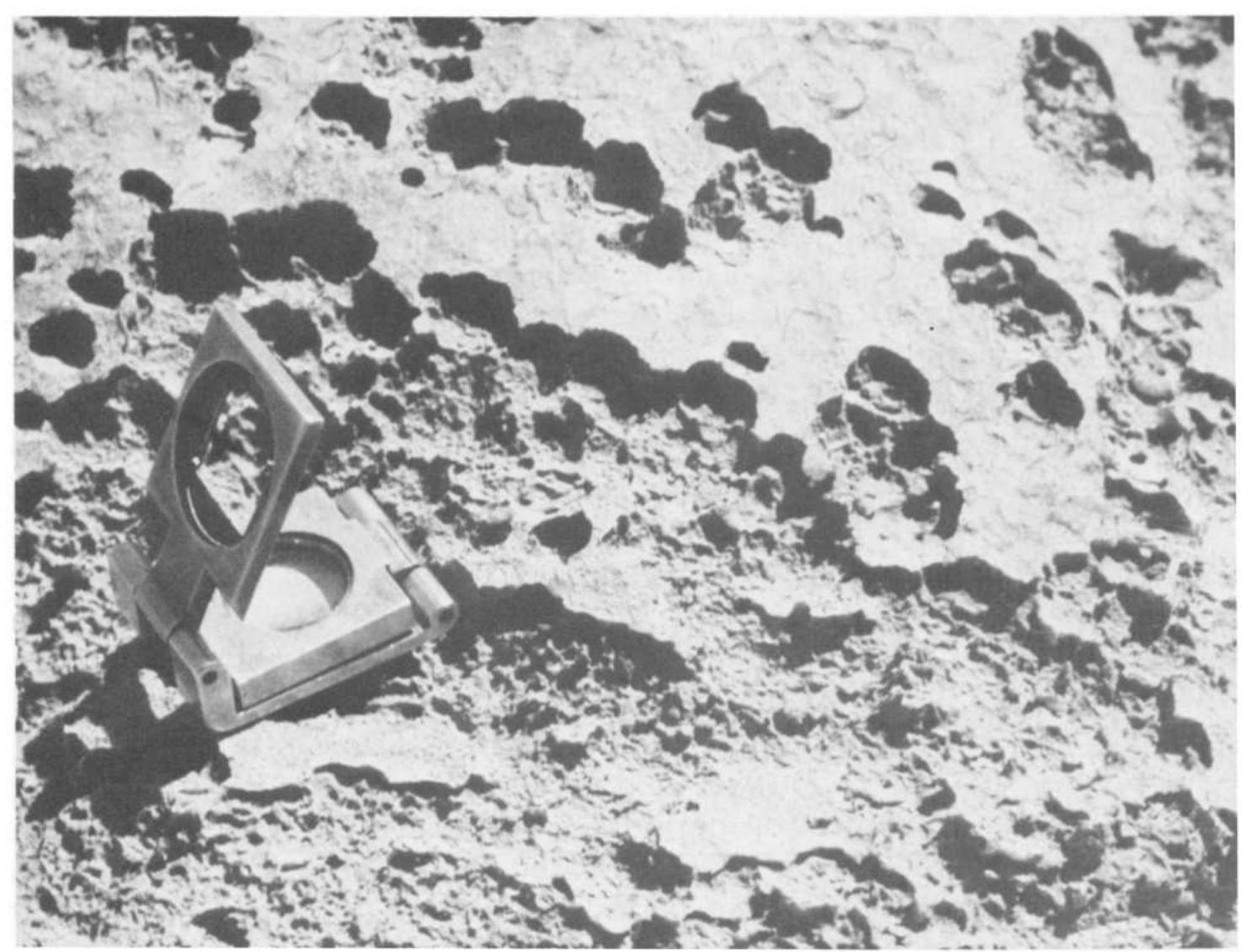 Pitted surface on a south-facing hard limestone rock in the