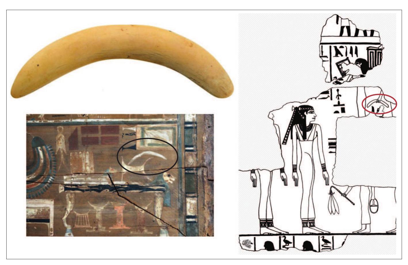 Above, fig. 2: magical wands in early twelfth dynasty