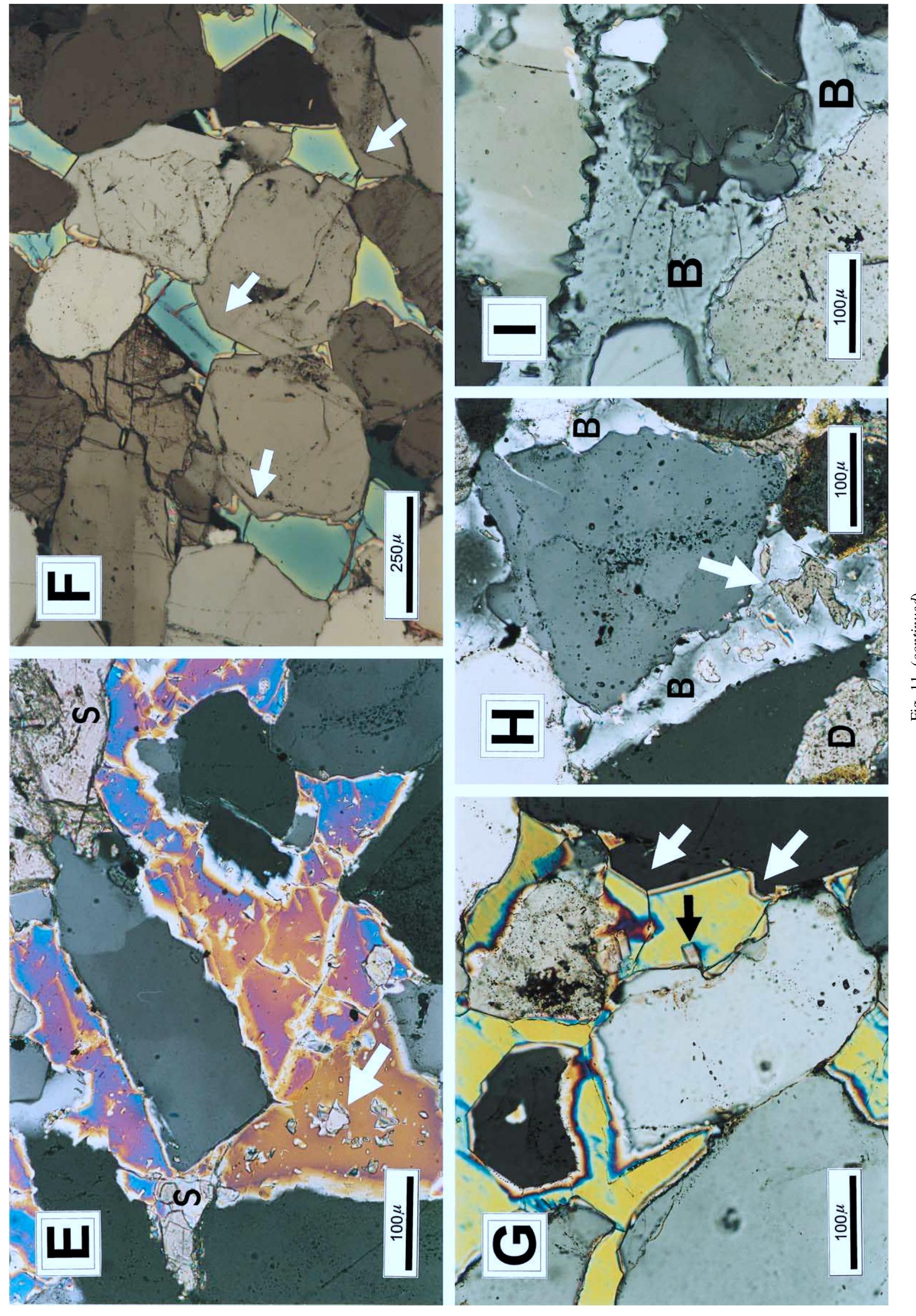 Figure 12 - Diagenesis, provenance and reservoir quality of