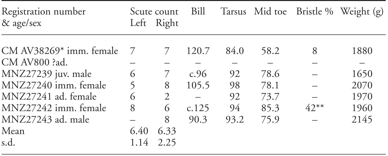Tab he dorsal surface of the tarsometatarsus. we defined
