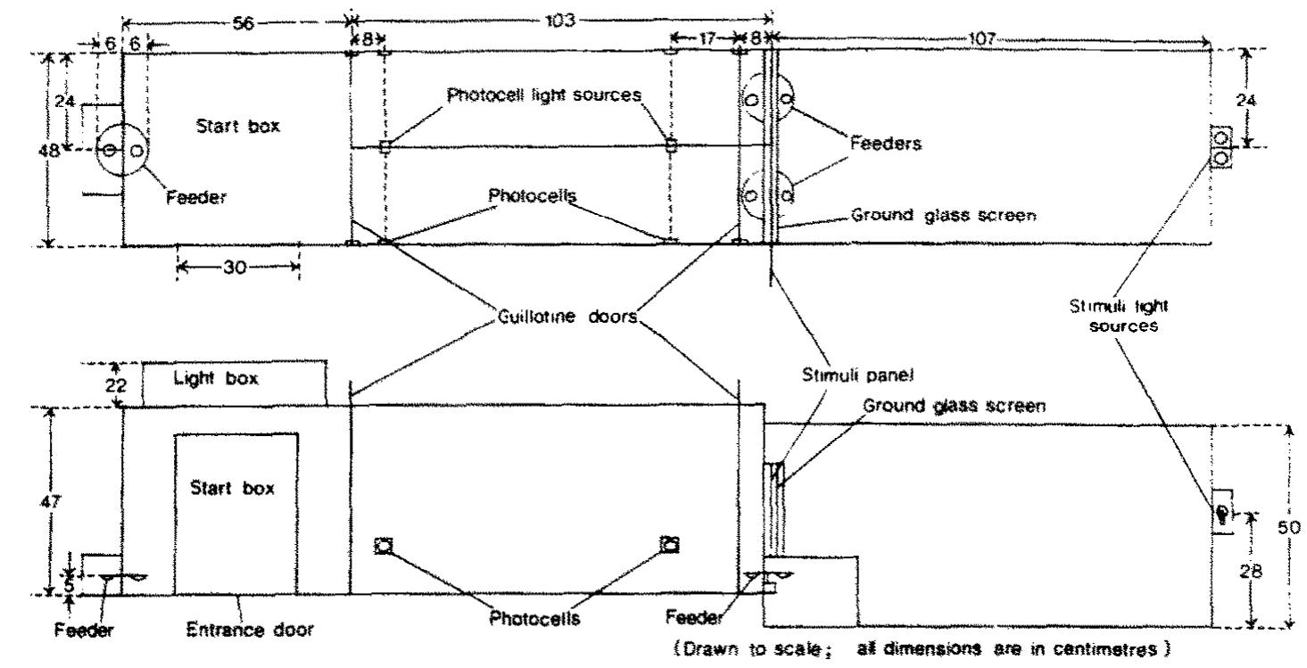 Diagrams of the runway apparatus, top, plan view; bottom.