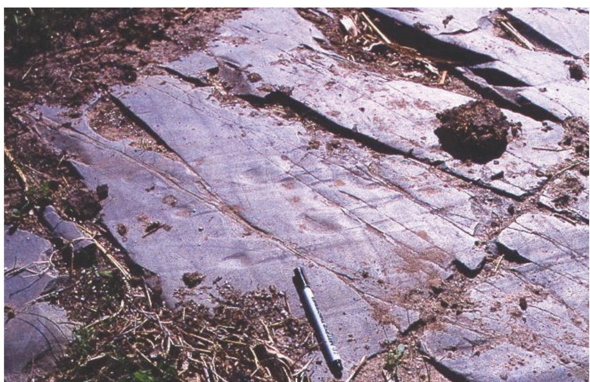 Photo 3.14. glaciated bedrock in welch’s washout displaying