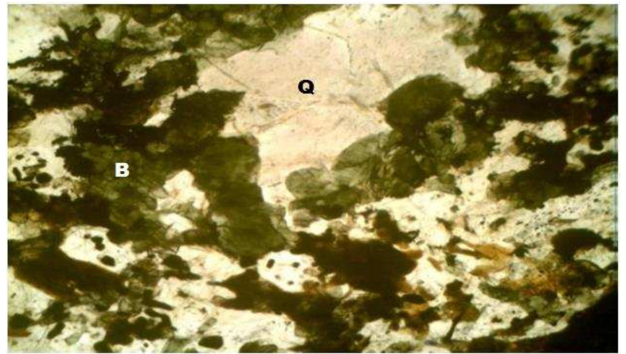 -5b. photomicrograph of fine grained granite slide under ppl