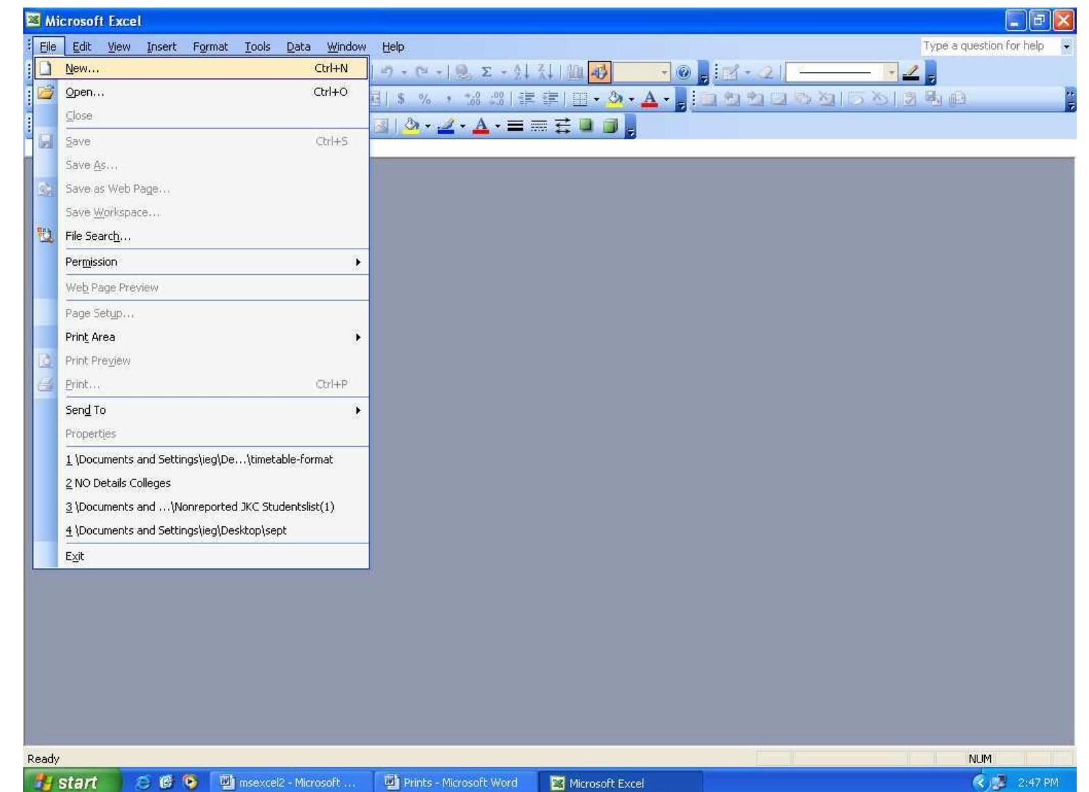 Figure 6 - MS EXCEL