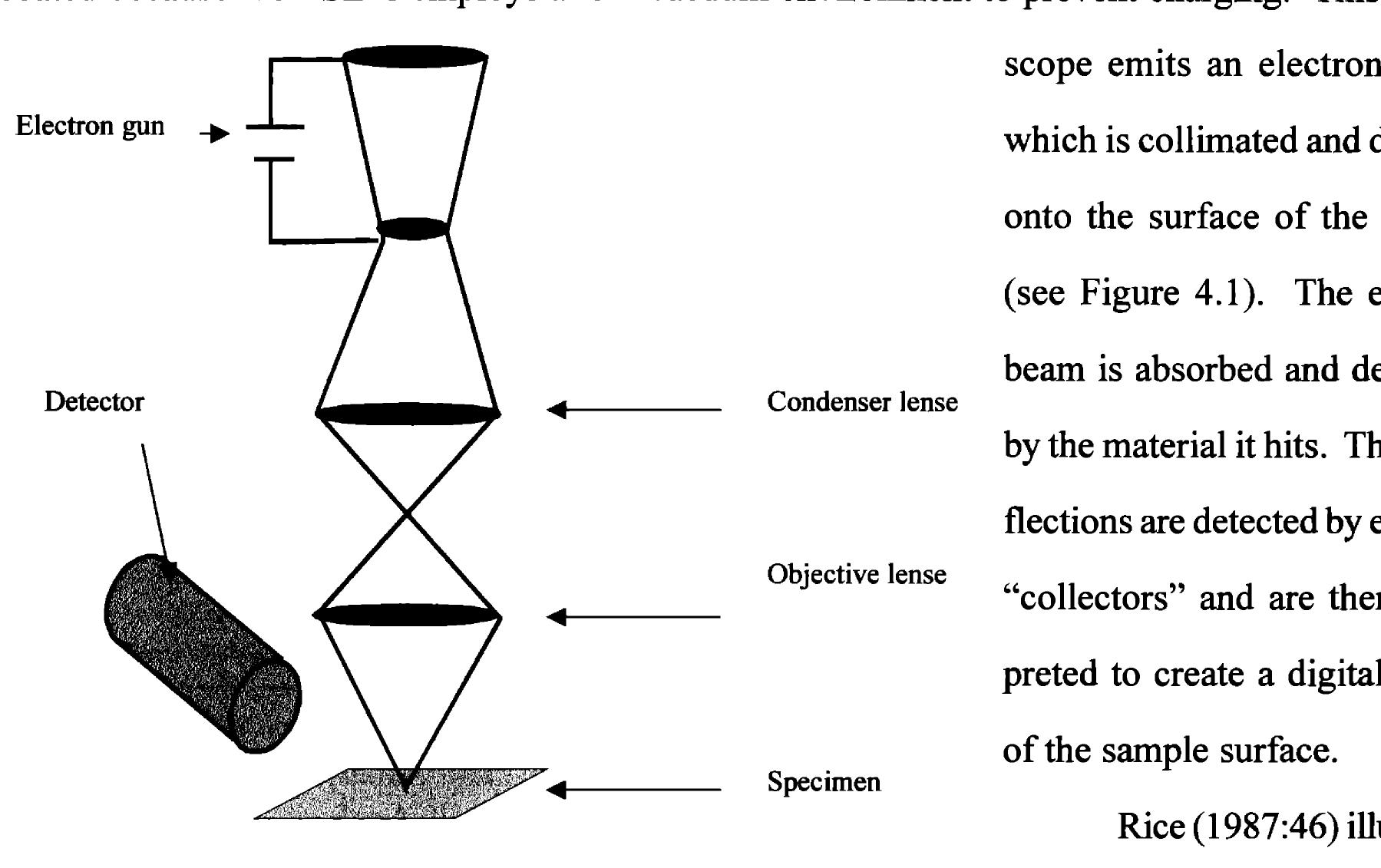 Scanning electron microscope (esem) in the center for