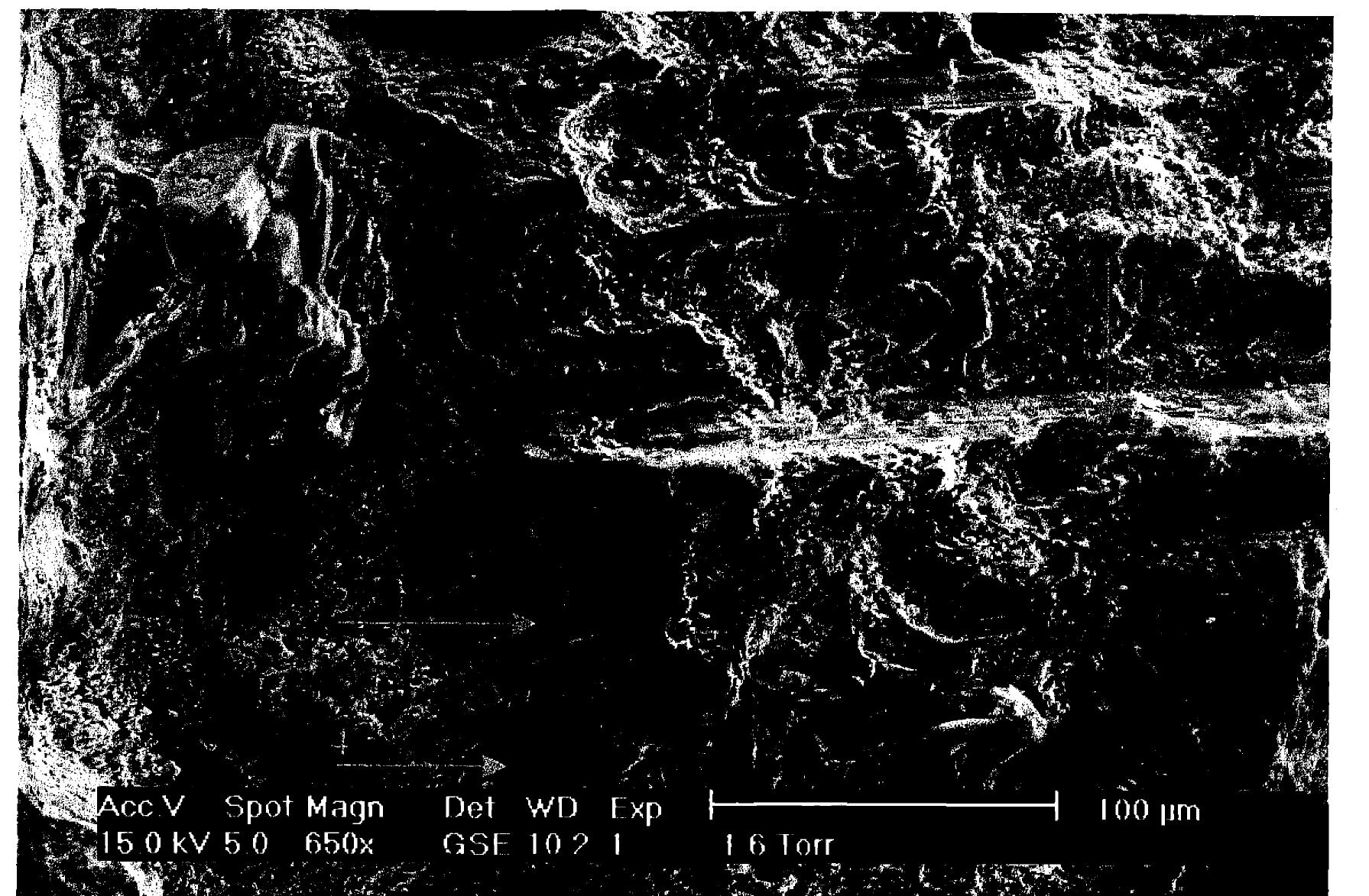 12. esem image of mit no. 2418 at a magnification of 650, in