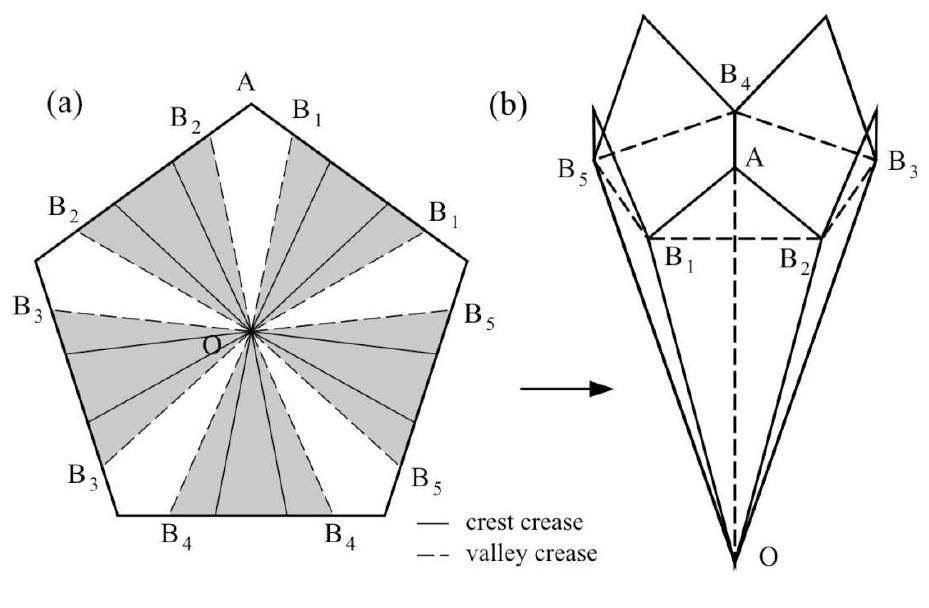 ; pentagonal petal model, fully unfolded (a) and closed (b).